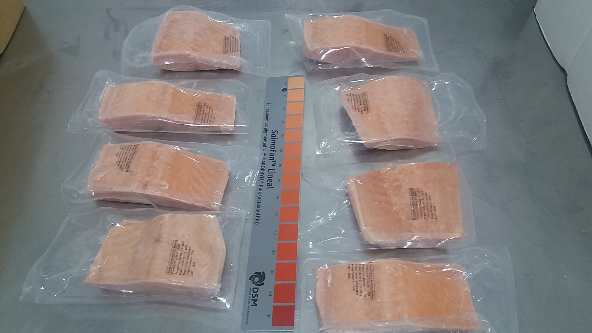 Atlantic Salmon Portions Premium IVP – Trade Market