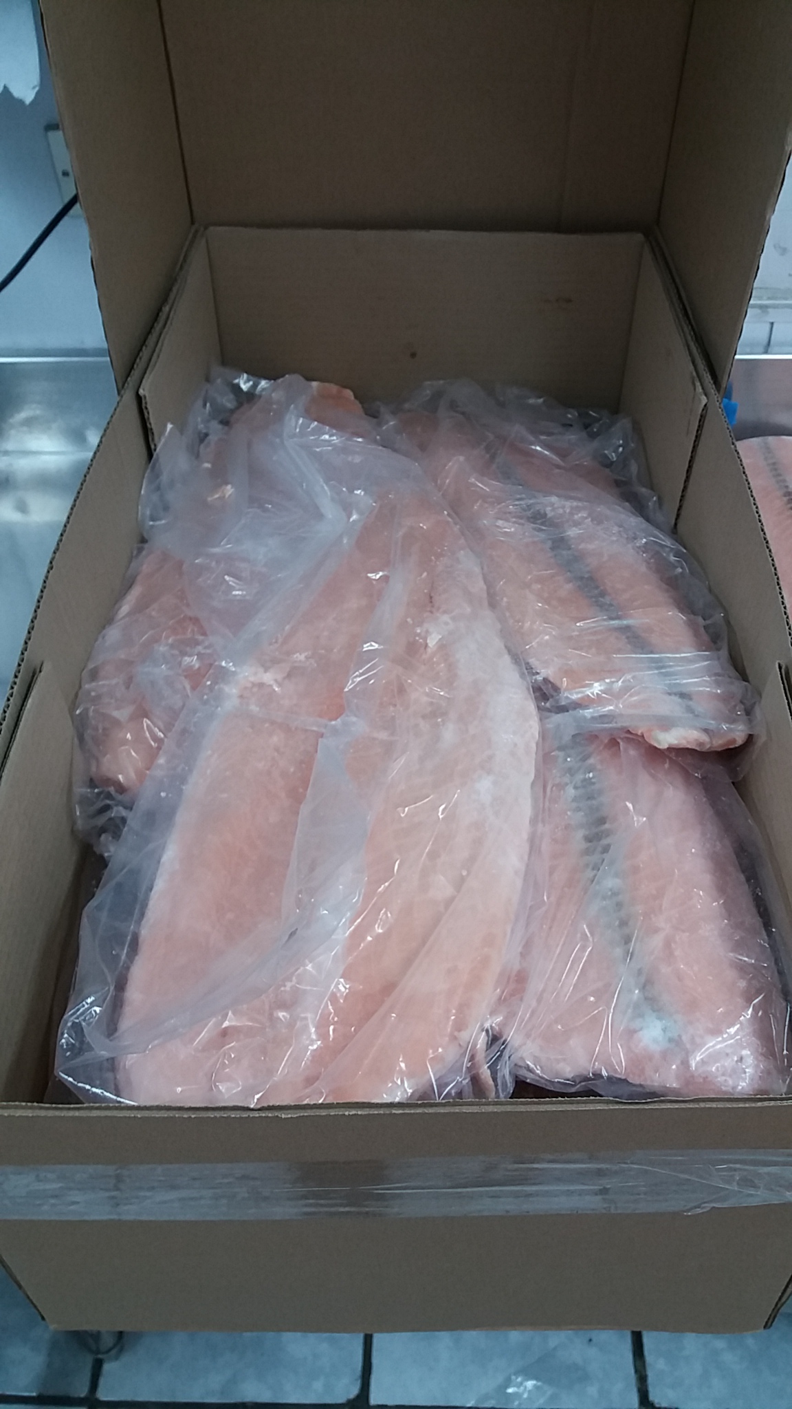 Atlantic Salmon Fillet Trim E – Trade Market