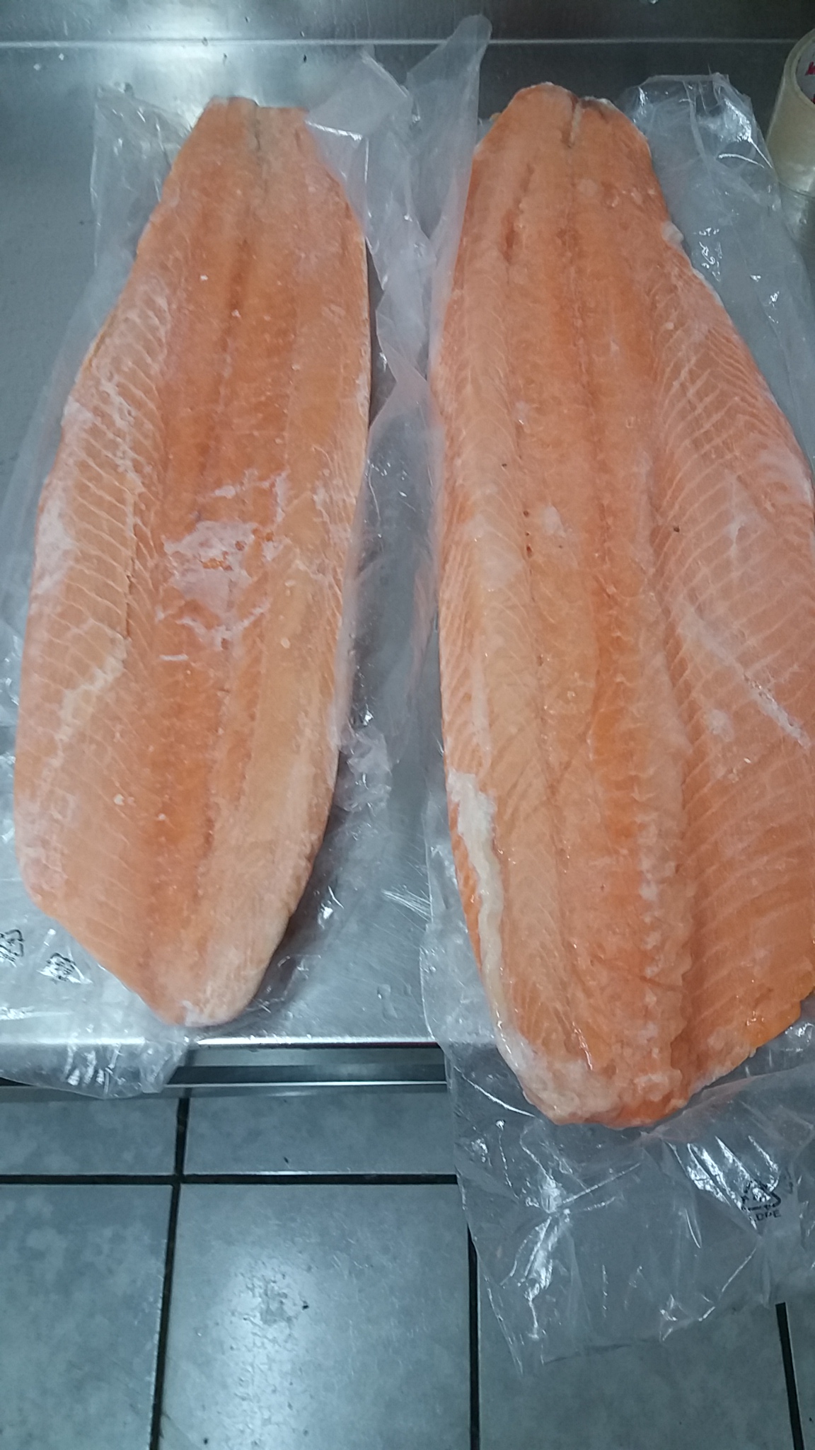 Atlantic Salmon Fillet Trim E – Trade Market