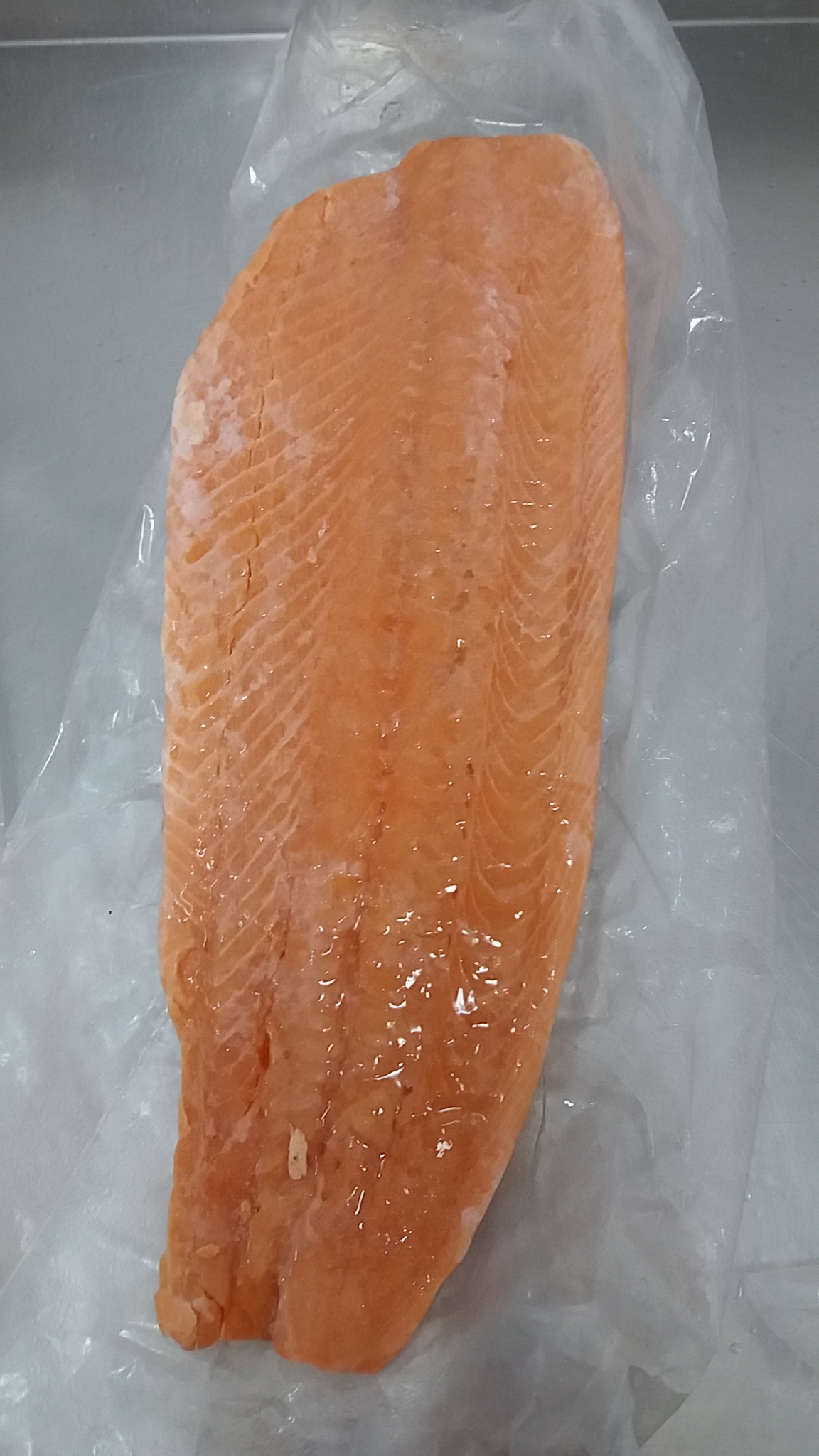 Atlantic Salmon Fillet Trim E – Trade Market