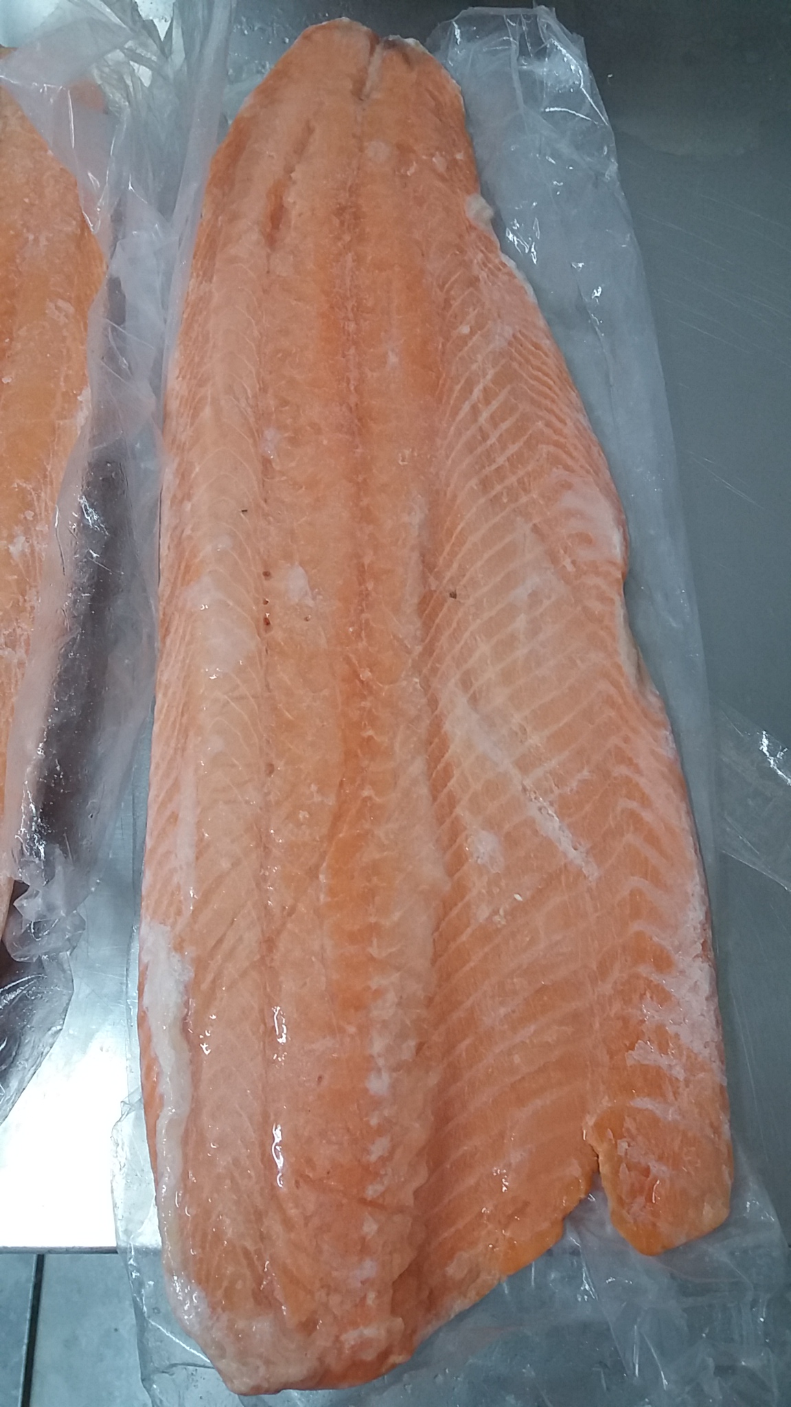 Atlantic Salmon Fillet Trim E – Trade Market
