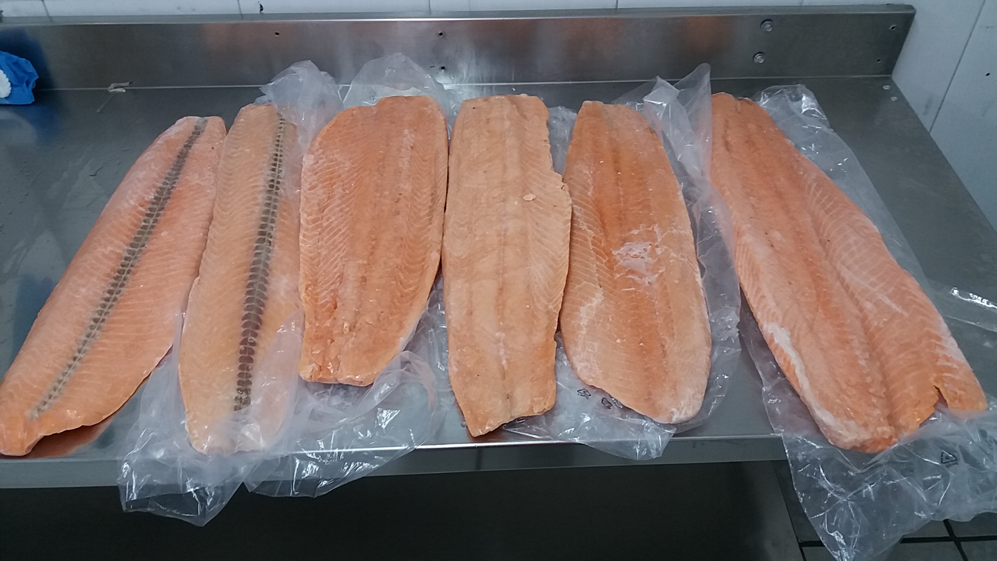 Atlantic Salmon Fillet Trim E – Trade Market