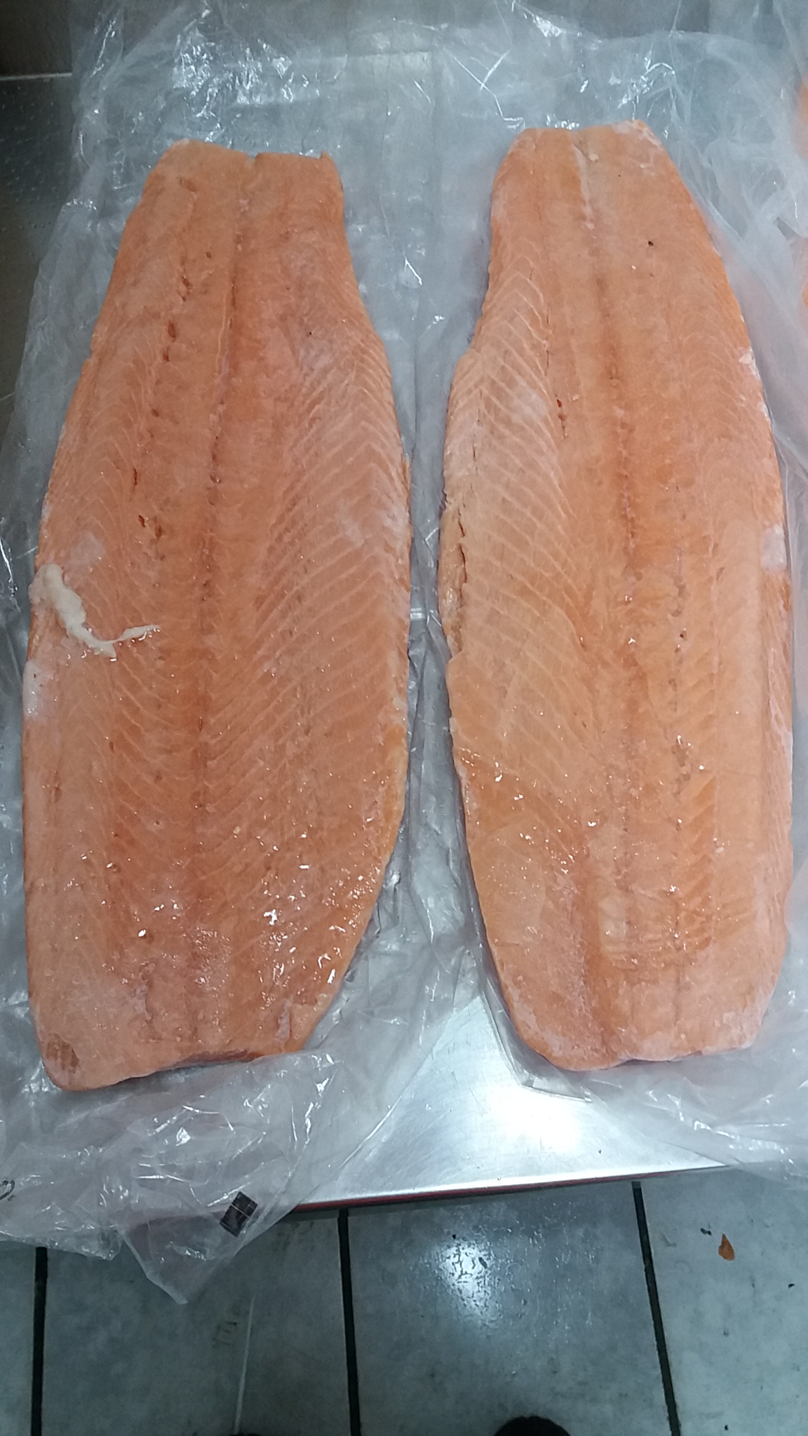Atlantic Salmon Fillet Trim E – Trade Market