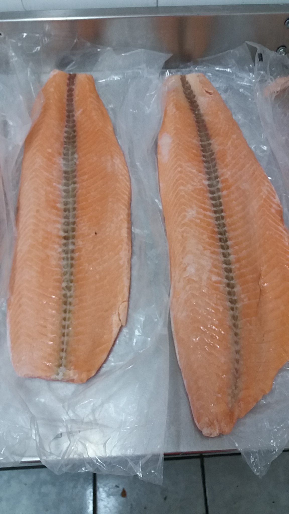 Atlantic Salmon Fillet Trim E – Trade Market