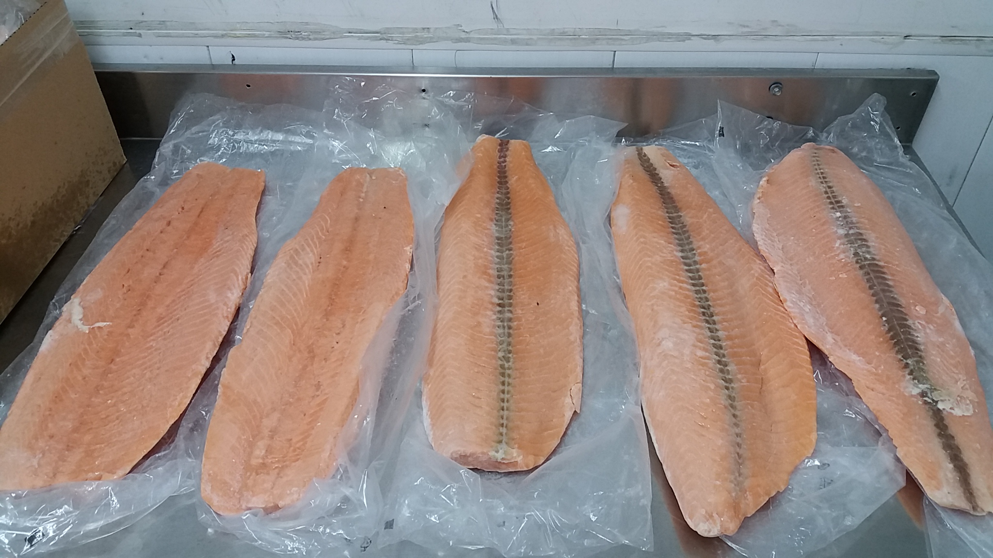 Atlantic Salmon Fillet Trim E – Trade Market